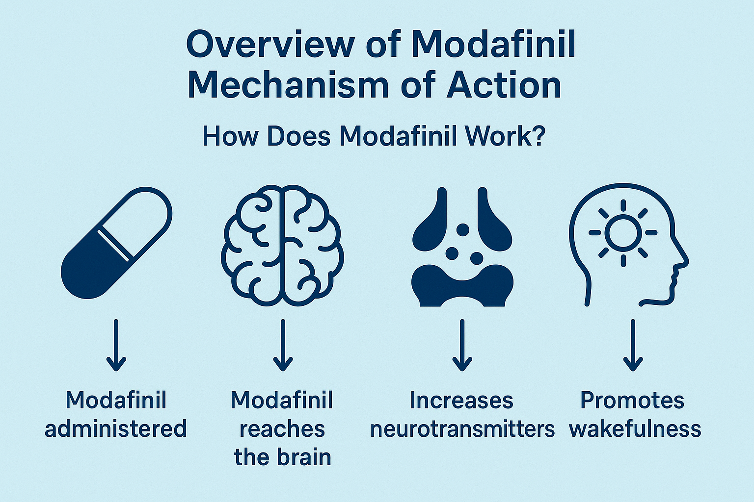 Overview of Modafinil Mechanism of Action